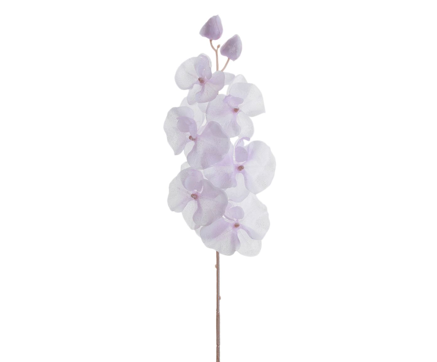 Planta Permanente Orquídea Angel Com Glitter Lavanda - 67cm | Westwing ...